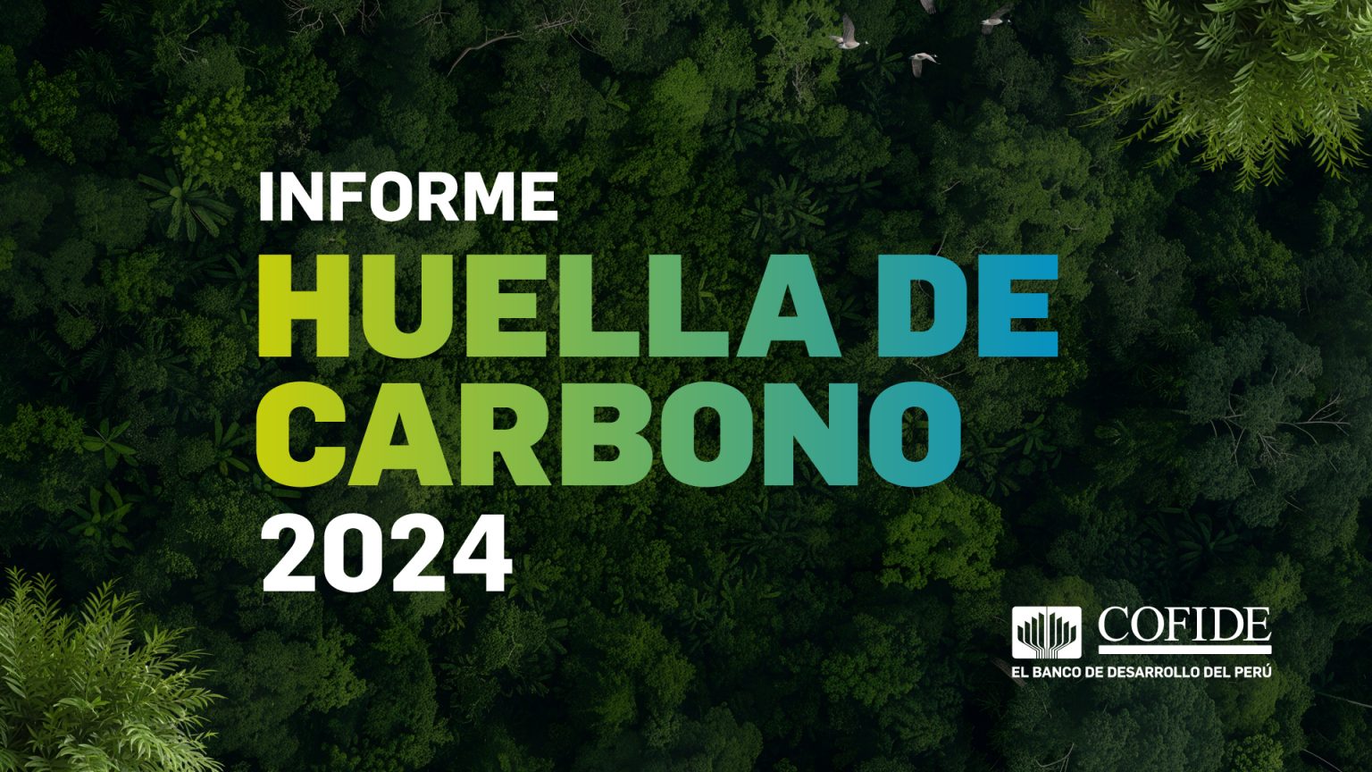 COFIDE – Institucional